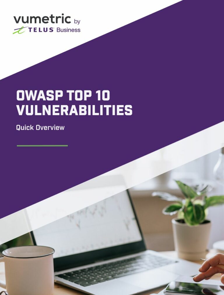 The OWASP Top 10 Vulnerabilities - Vumetric