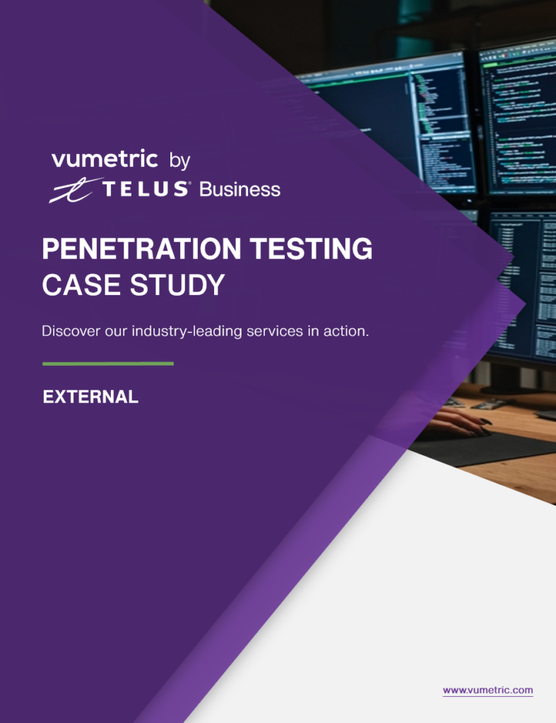 External Penetration Testing Case Study - Vumetric