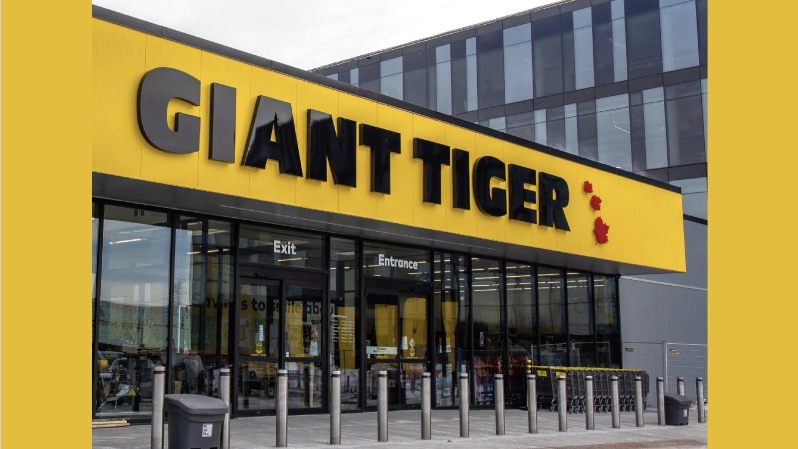 Hacker claims Giant Tiger data breach, leaks 2.8M records online - Vumetric